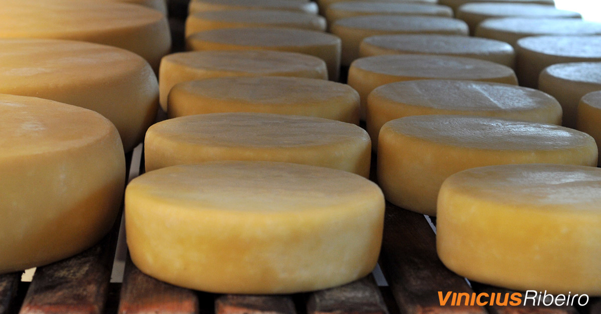 Sancionada lei do Queijo Artesanal Serrano - Vinicius Ribeiro
